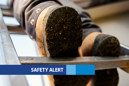 Three serious falls from ladders in six weeks | SafeWork SA